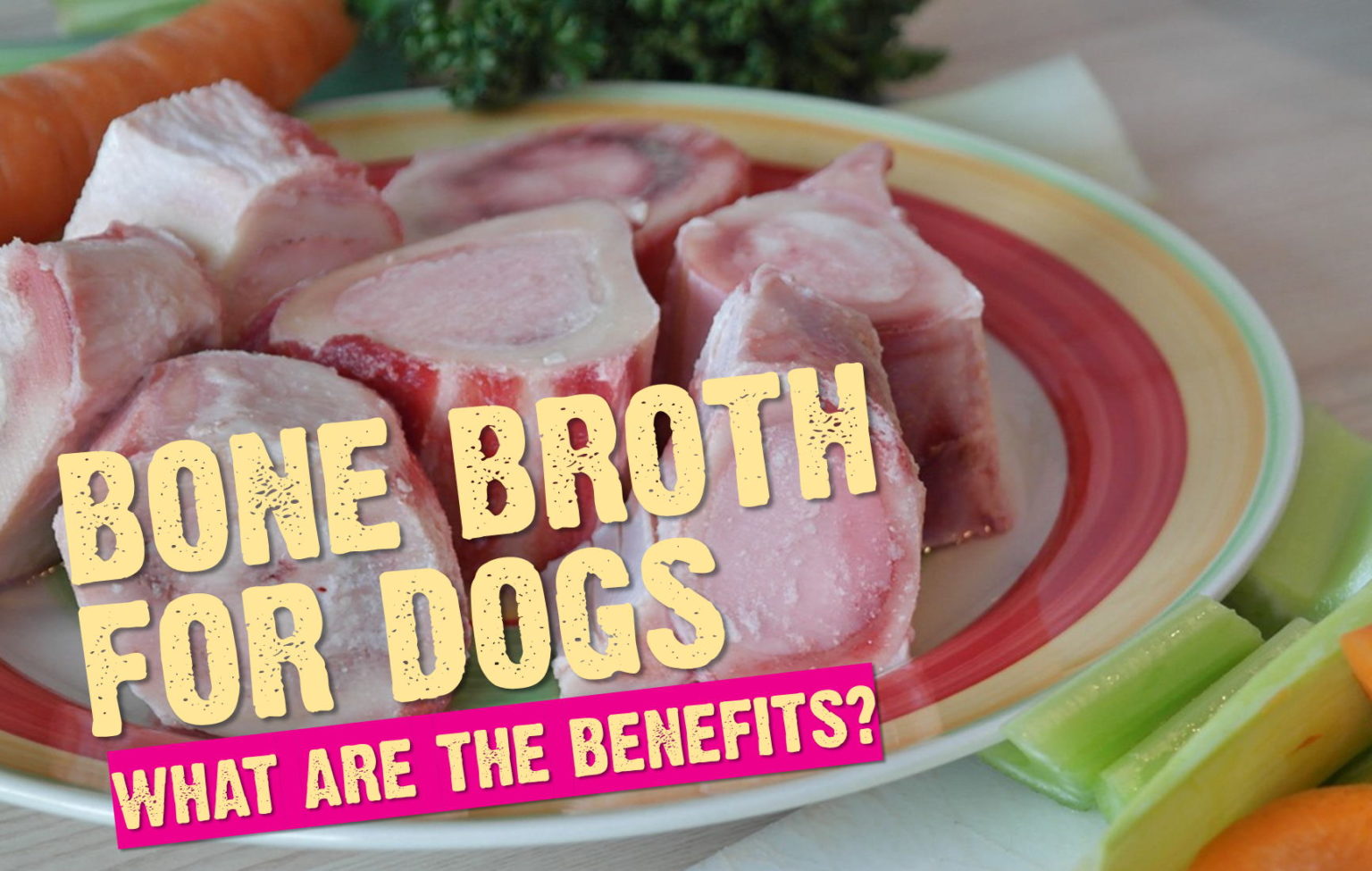 Total Dog Magazine - totally devoted to dogs